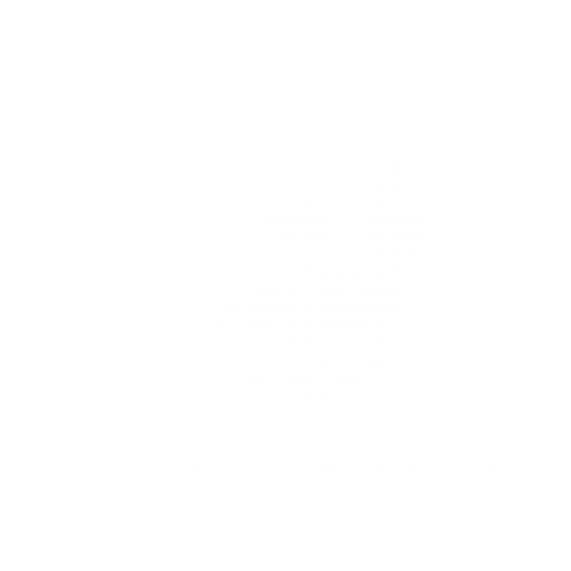 Wilson Elementary – Medford School District